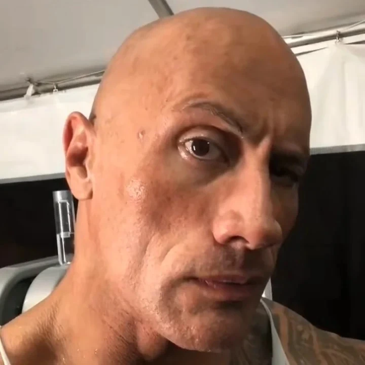 Why is the rock raising his eyebrow? (Wrong answers only) | Fandom