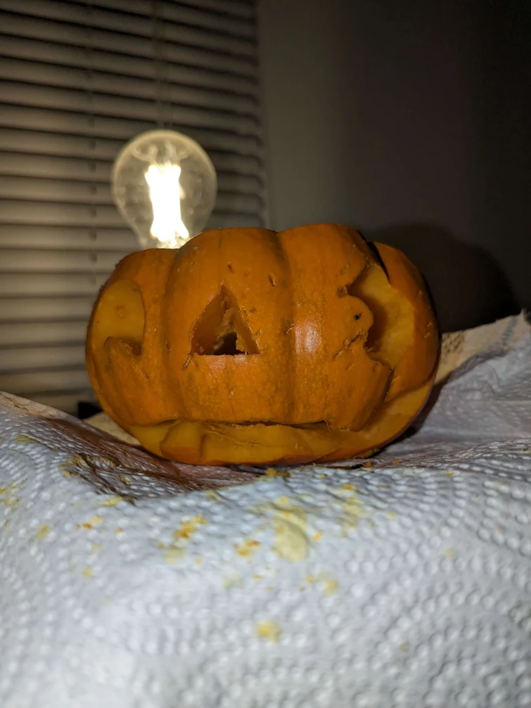 casually makes pumpkin pvz for halloween | Fandom