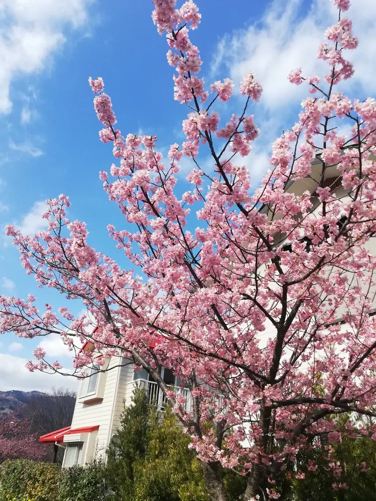 Do you know that Sukoyaka City (Healin'Good Precure 2020) has a model ...