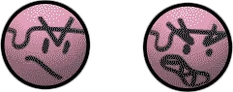 Top 3 3D Dave and Bambi Icons | Fandom