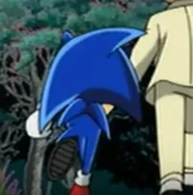 Anyone else annoyed that they only gave Sonic three quills? | Fandom