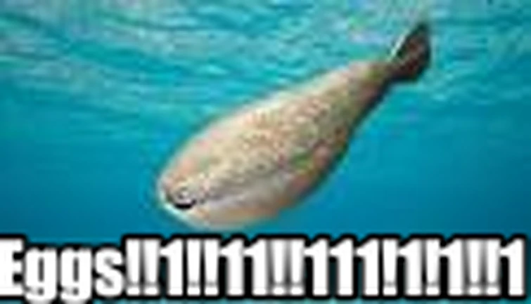 imagine a regretevator rain world au | Fandom