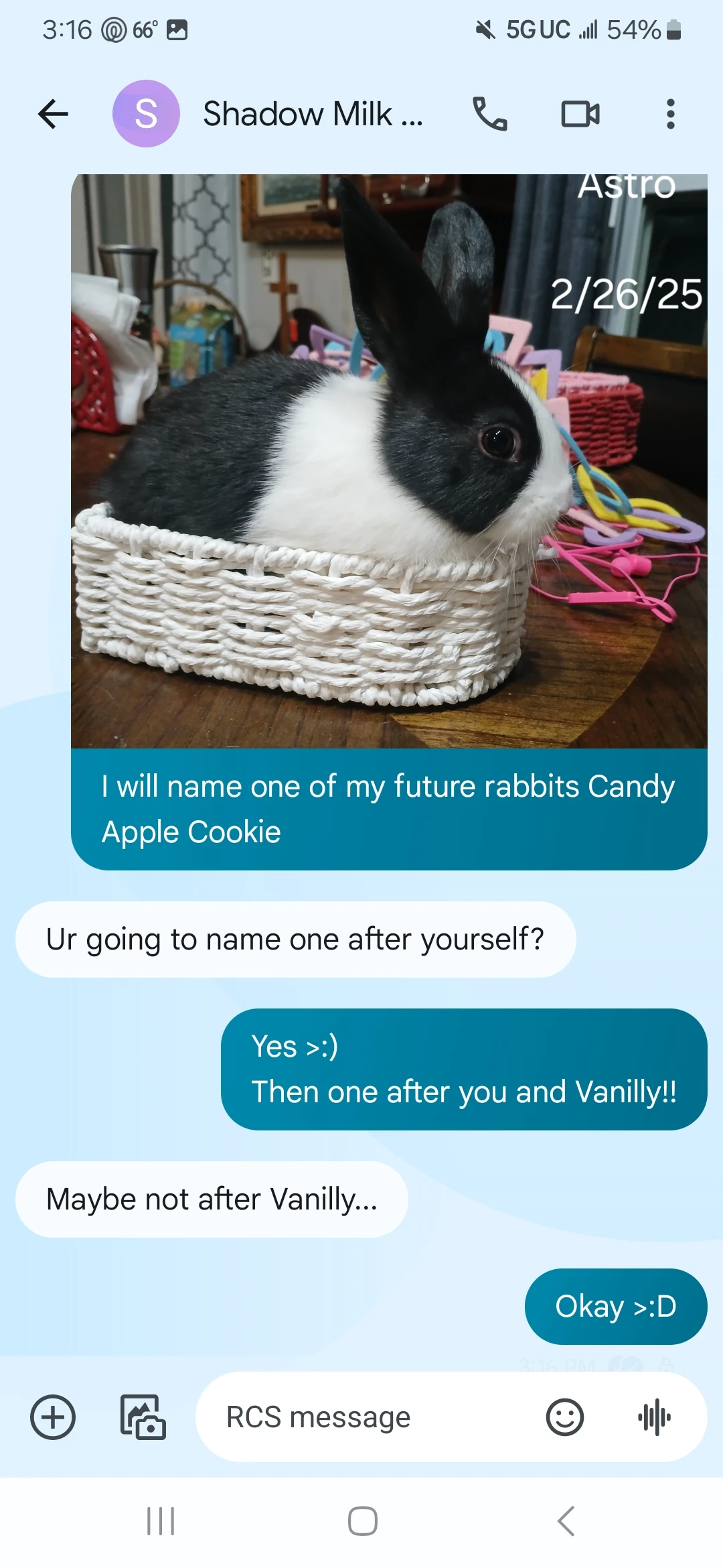 This is a pookie confirmed (Click for full image!!) | Fandom