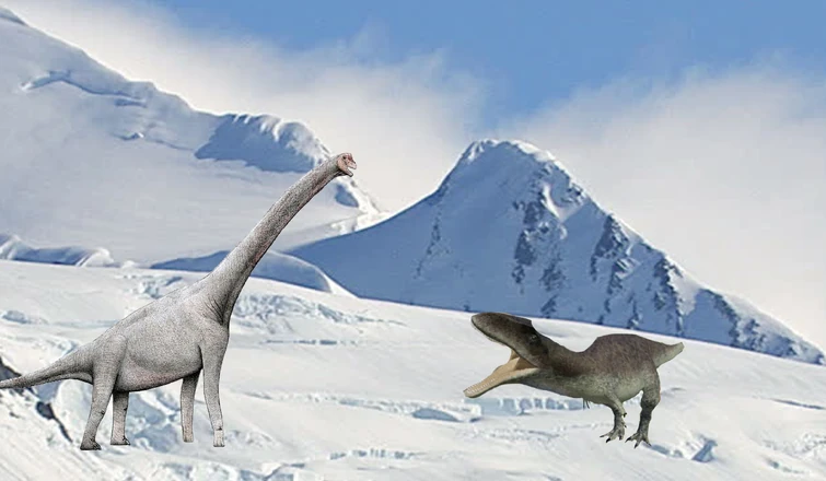 All posts by Z rex Bg | Fandom