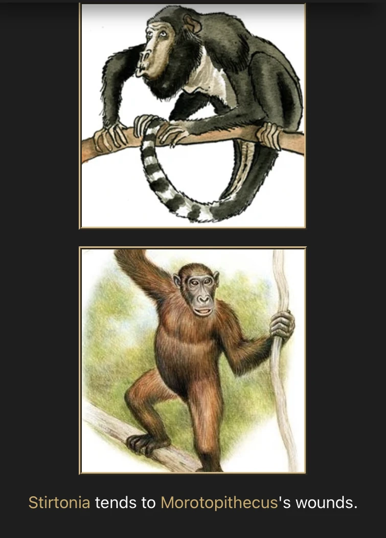 Discuss Everything About Dinopedia | Fandom