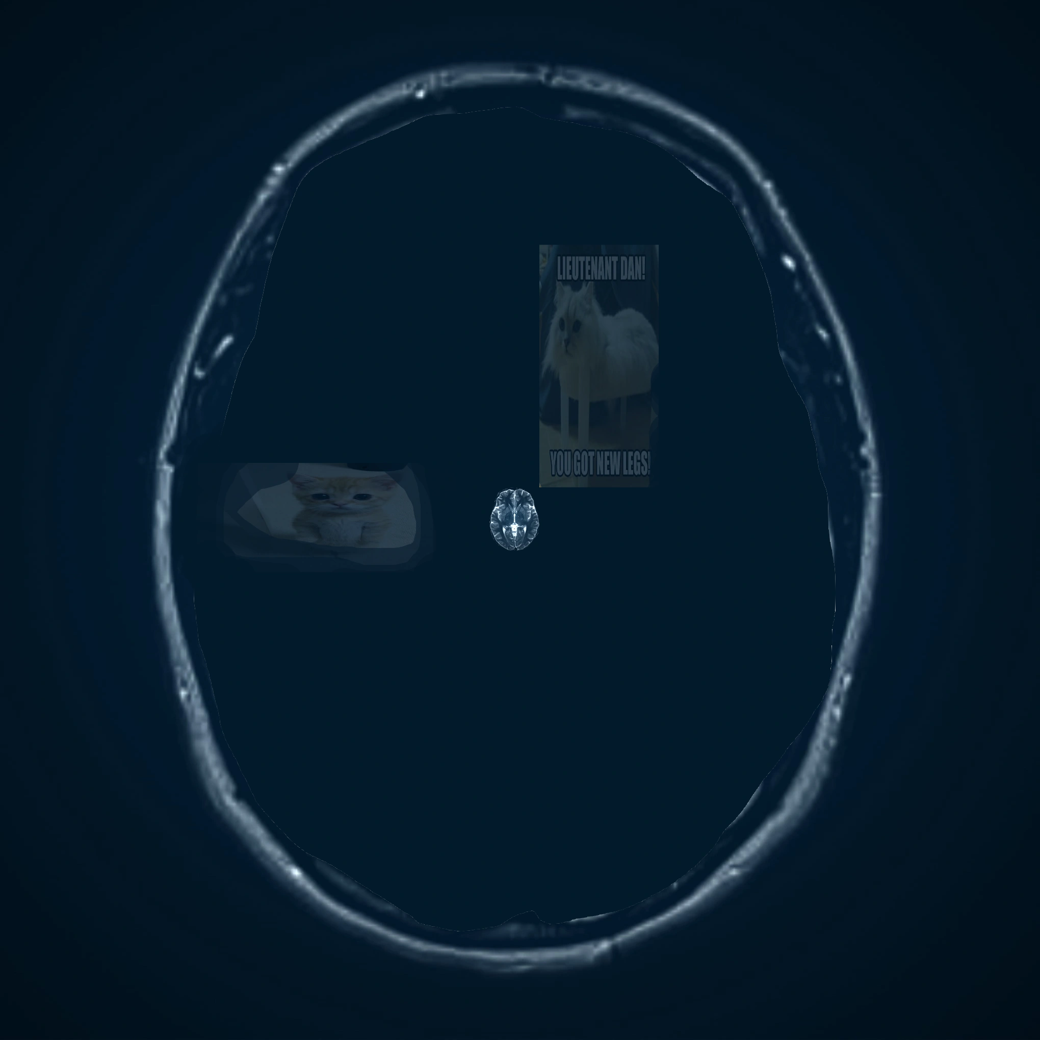 scan of my brain | Fandom