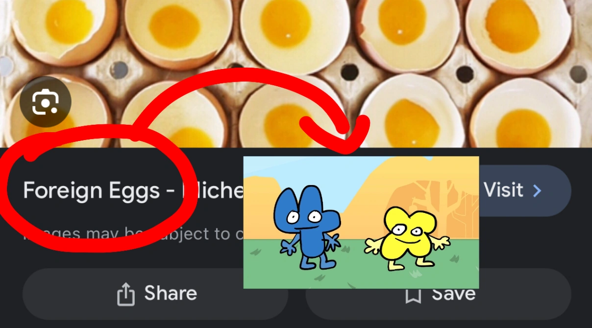 Foreign eggs | Fandom