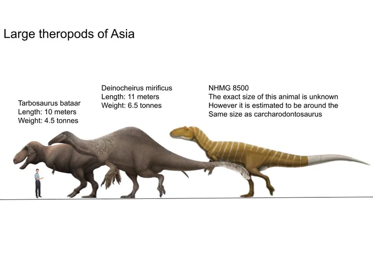 Discuss Everything About Dinopedia | Fandom