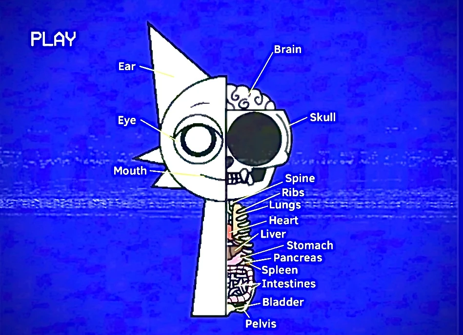 Sprunki anatomy | Fandom