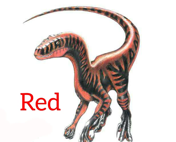 My Version Of Velociraptor "Red" | Fandom