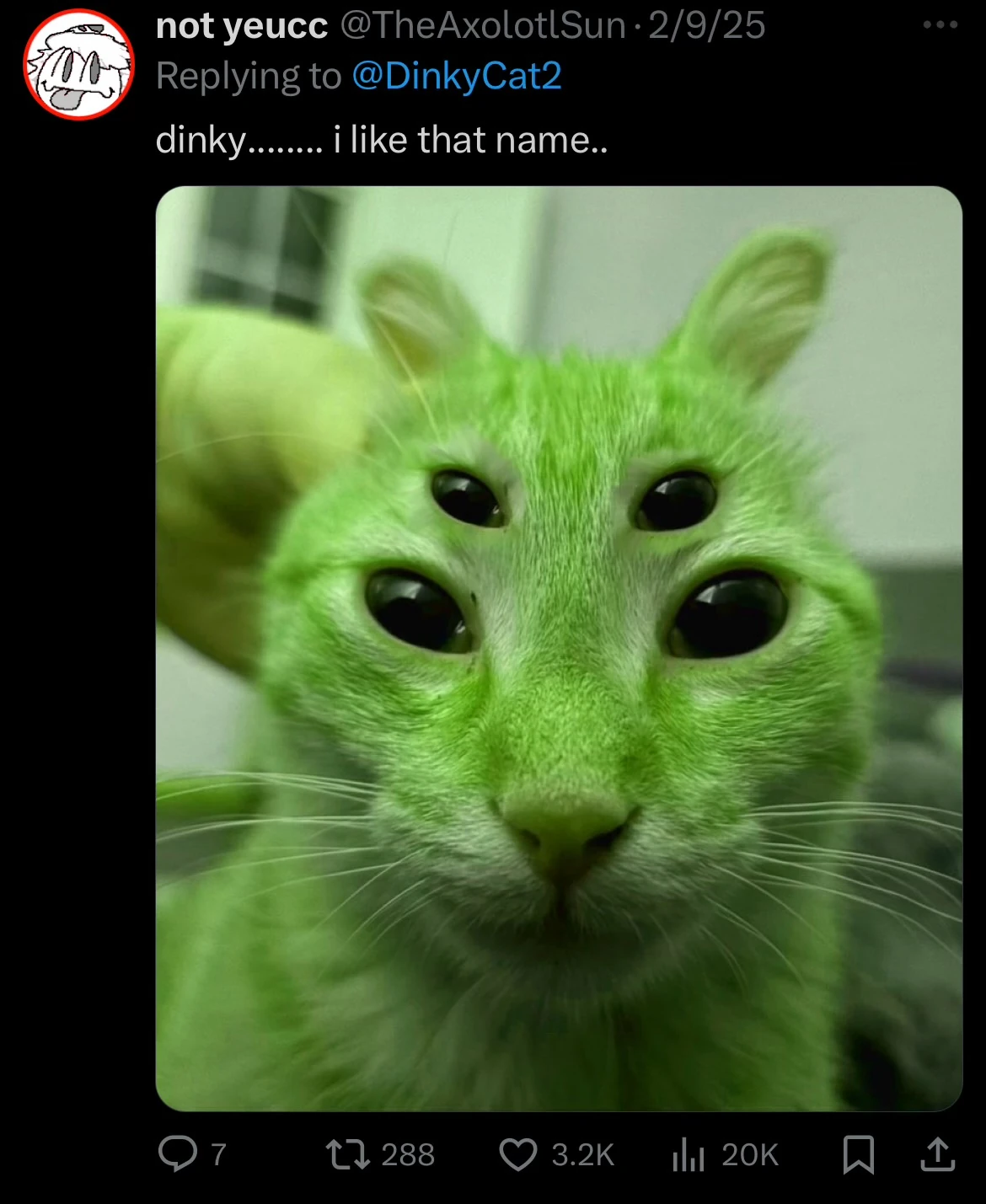 yeucc after being iconic | Fandom