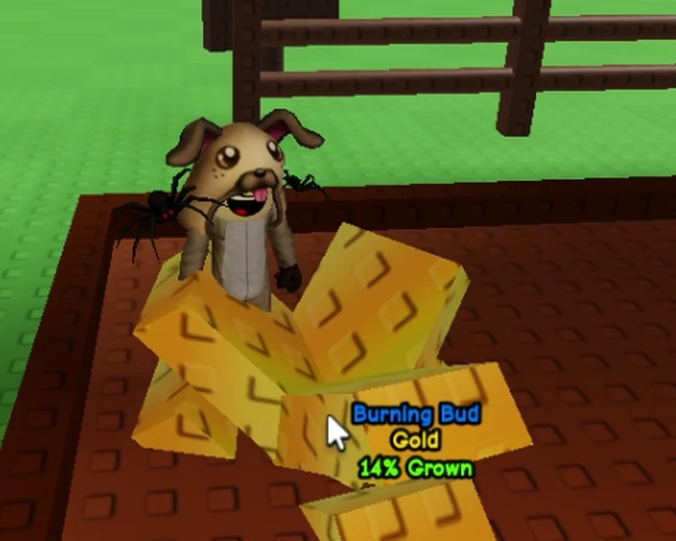 I got golden burning bud from the super seed in the shop | Fandom