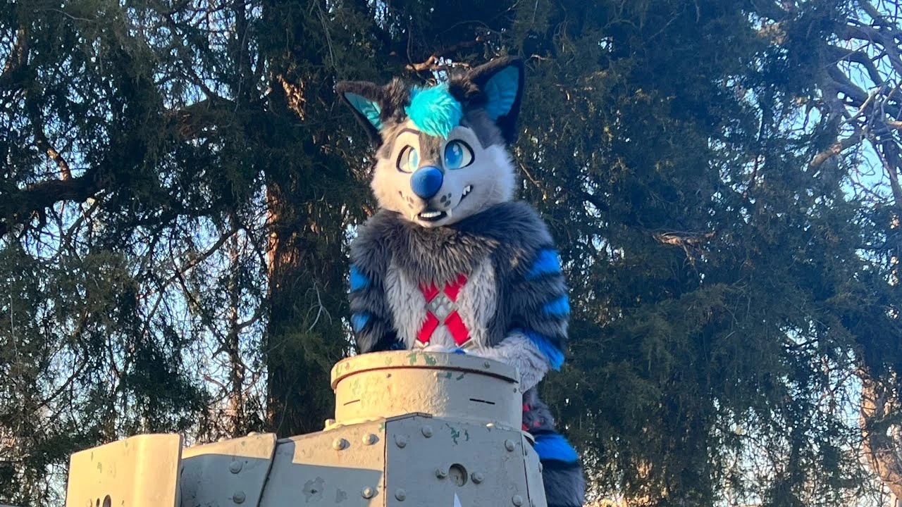 furries and tanks don't mix together | Fandom