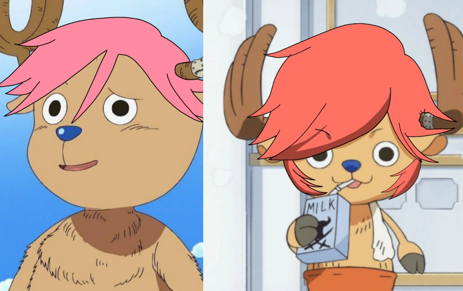 Chopper with human hair | Fandom