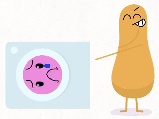 ninny just freakin pushes bungle over for no reason at all | Fandom