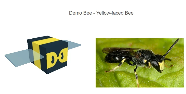 BSS Bees and their irl counterparts! Epics :) | Fandom