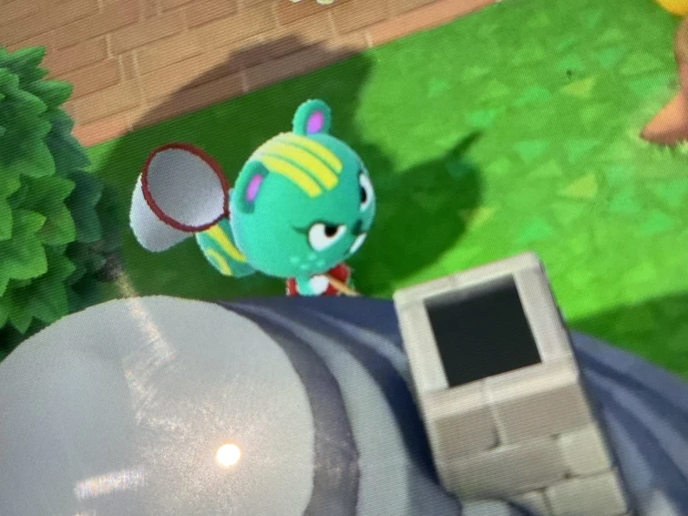 Discuss Everything About Animal Crossing Wiki | Fandom