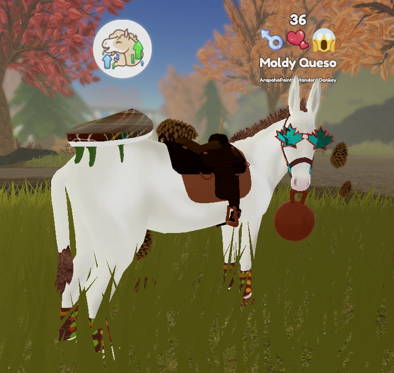 Rate this tack set that I made using accs I don't use 😎 | Fandom
