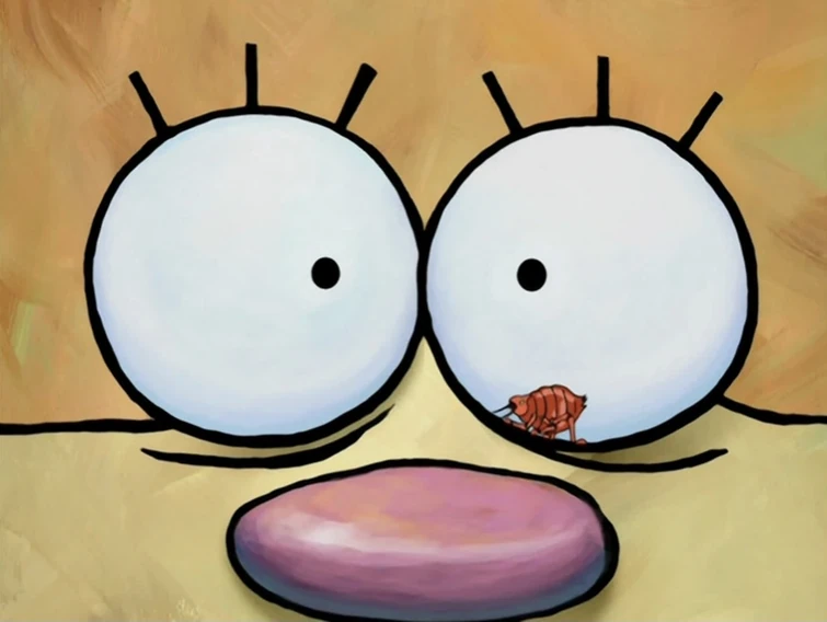 How does a flea get from Sandy’s nose to literally inside her eyes ...
