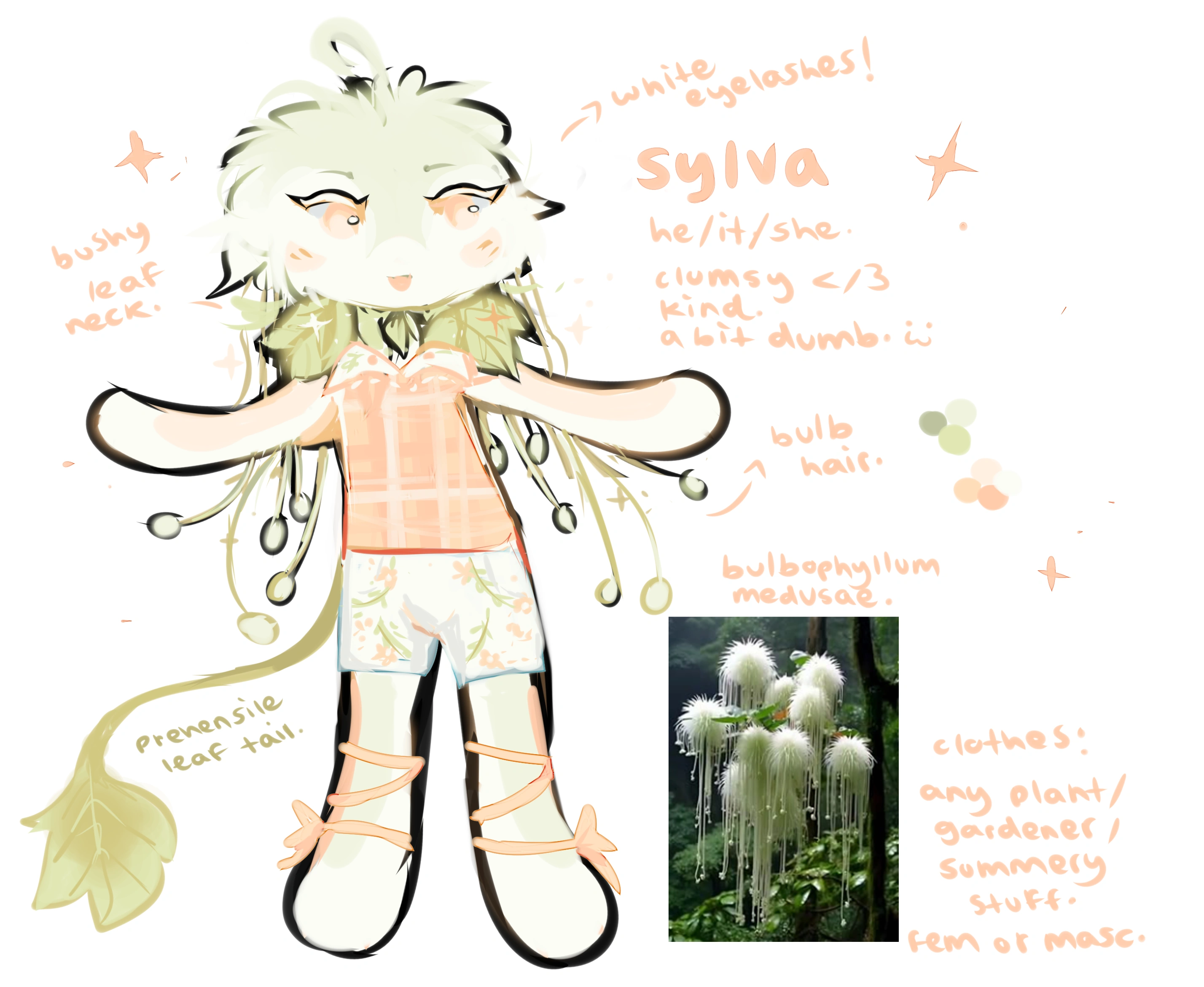 DW fan original character :3 | Fandom