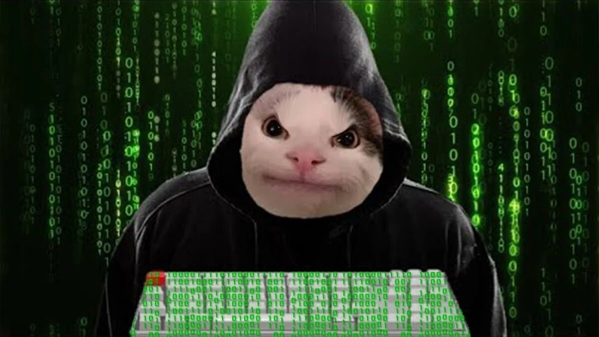 Make sure to help me and please work on the Stub pages! :) | Fandom