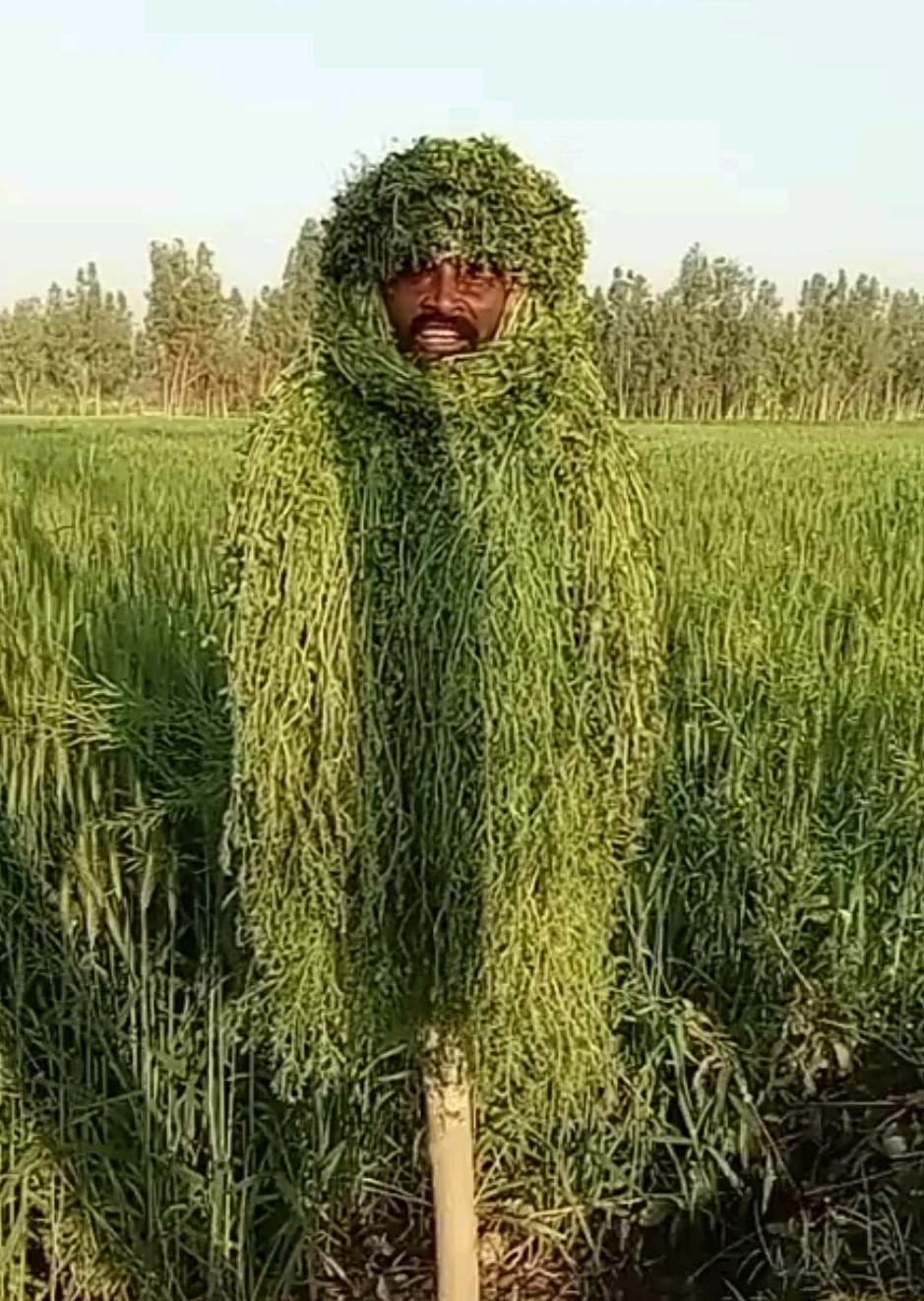 Sank you my freind sank you sank you | Fandom