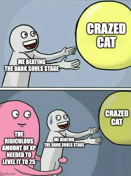 Crazed cats be like | Fandom