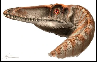 Discuss Everything About Dinopedia | Fandom