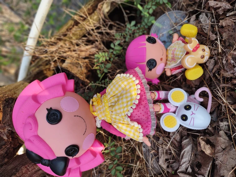 Discuss Everything About Lalaloopsy Land Wiki | Fandom