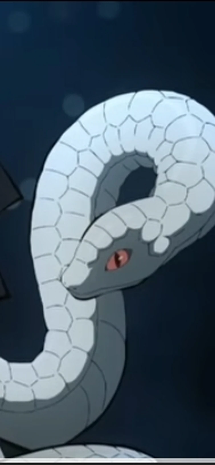 Snek appreciation | Fandom