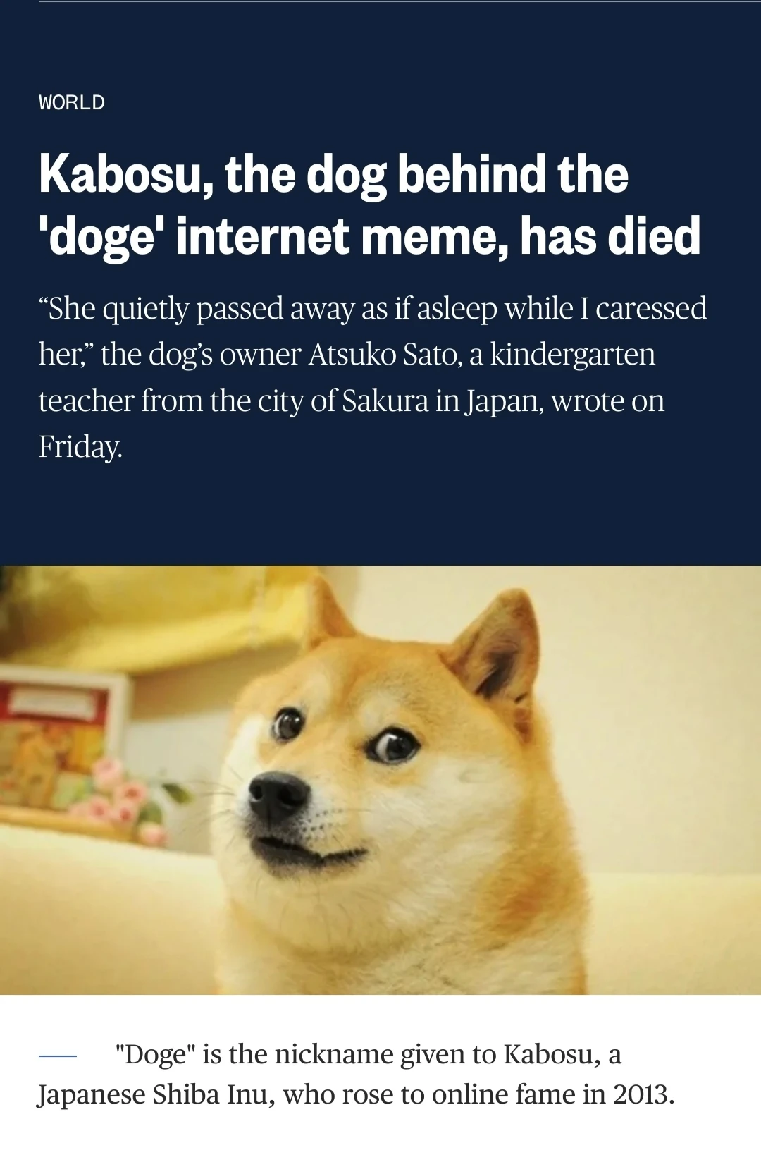 Rip Doge | Fandom