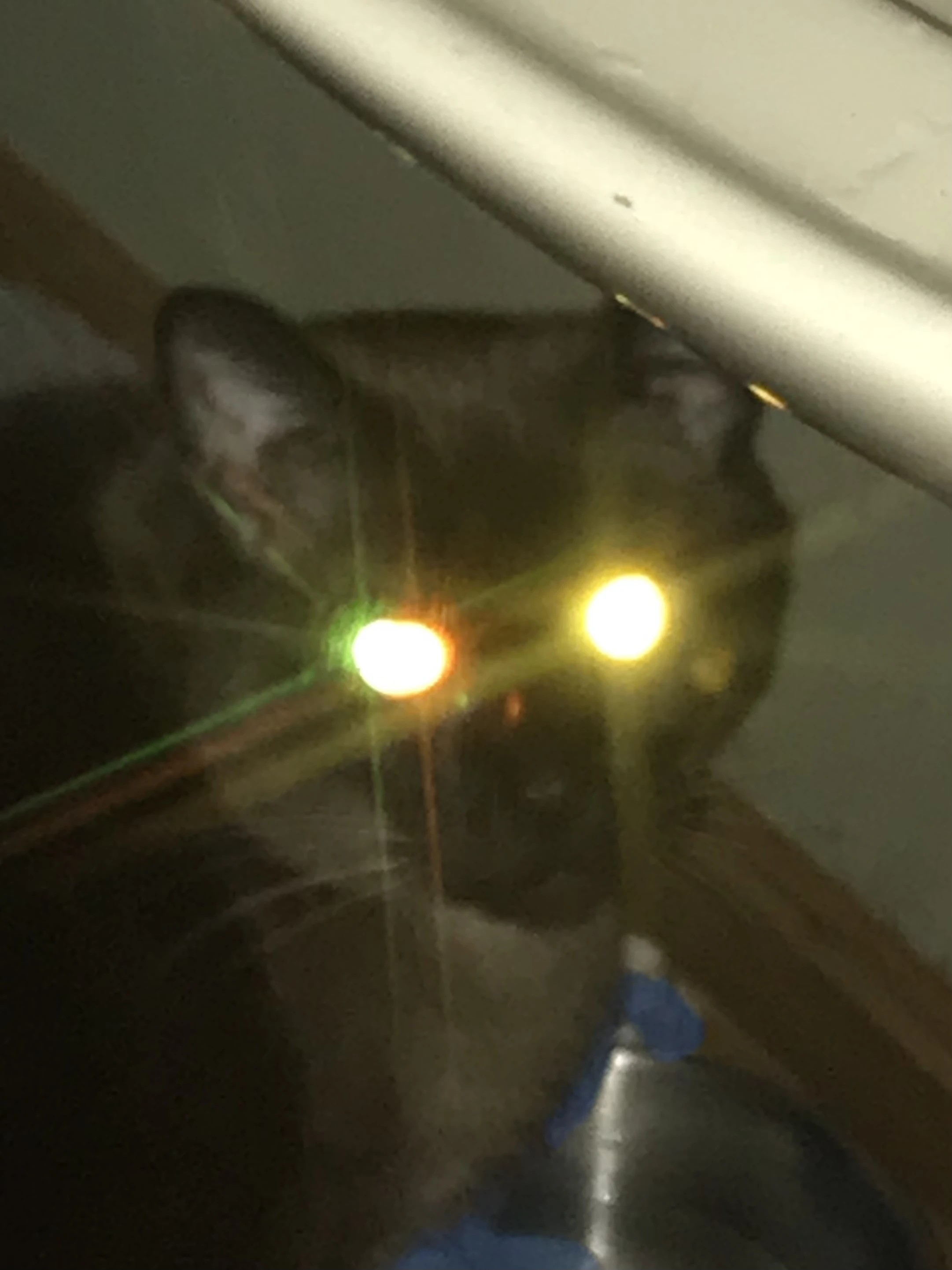 Da fluff boi | Fandom