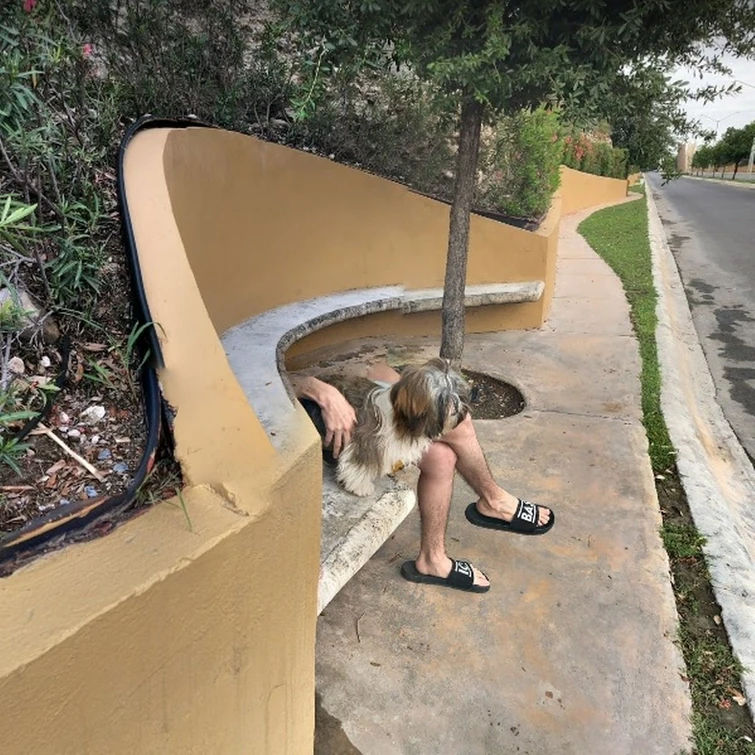 Comment weird things from Google Maps? | Fandom