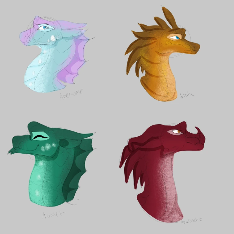 Discuss Everything About Wings of Fire Wiki | Fandom