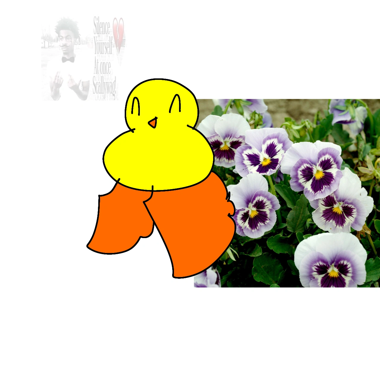 TEH EPIK DUCK!! | Fandom