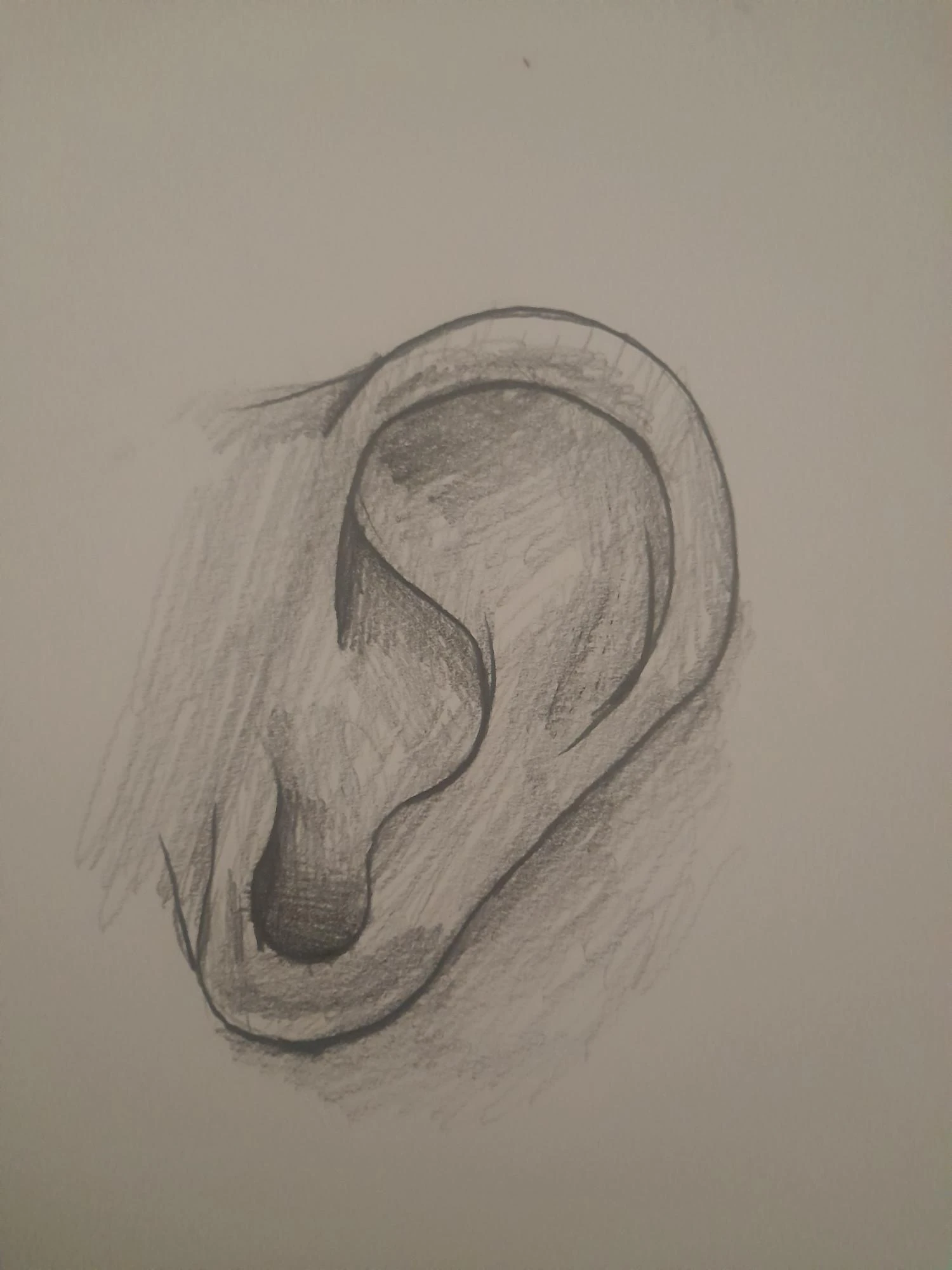 My basic sketch of the human ear | Fandom