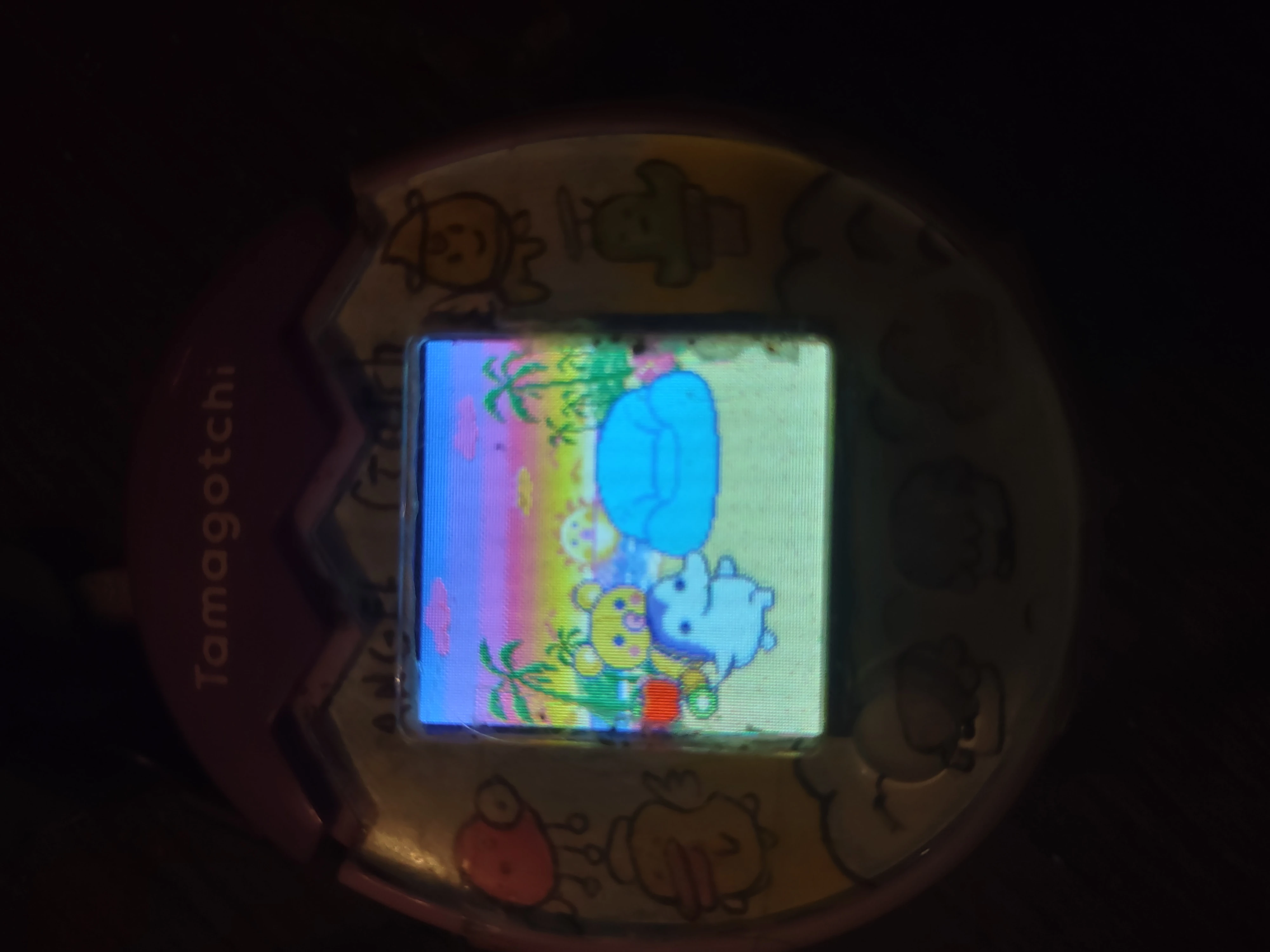 I was hoping to get charatchi | Fandom