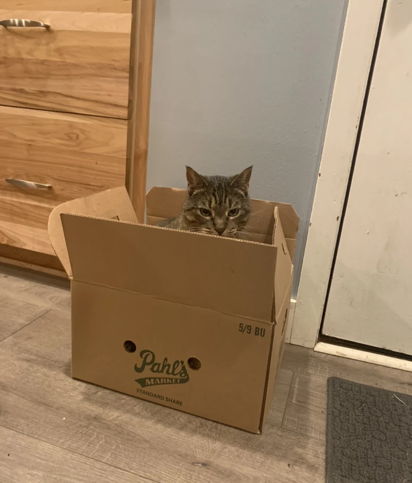 He so sad :’( (bl00d warning) | Fandom