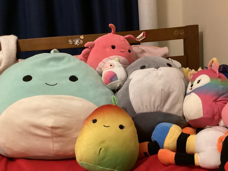 Discuss Everything About Squishmallows Wiki | Fandom