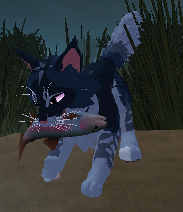 making COS creatures into WCUE cats part 1 | Fandom