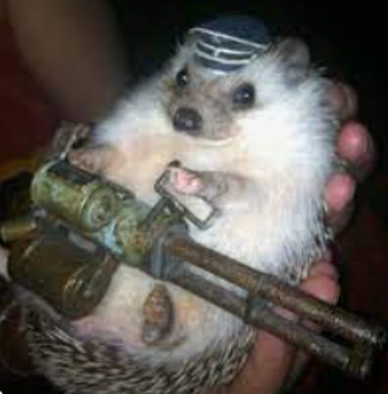 Some pics from the hedgehog army | Fandom
