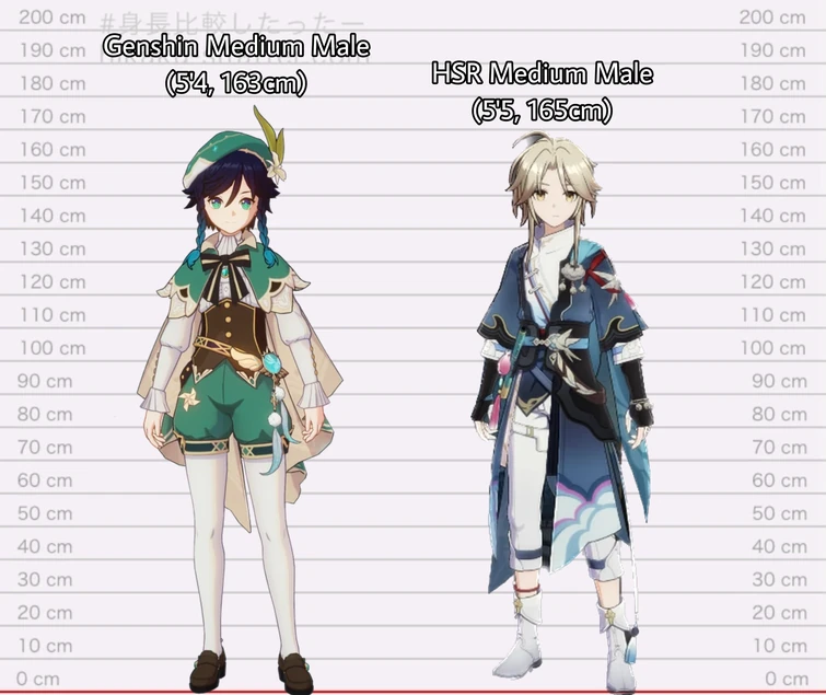 Genshin Impact and Honkai: Star Rail Model Type Comparison | Fandom