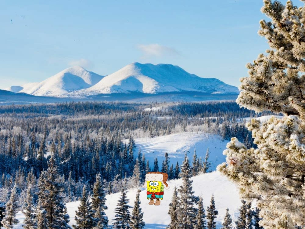 Spongebob in Canada | Fandom