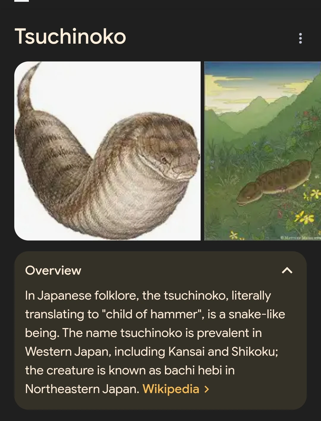 is marvin a tsuchinoko?! | Fandom