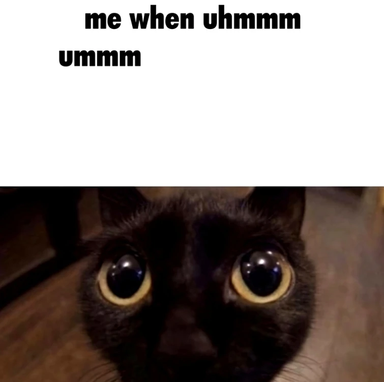 Me whennn uh when uummm uhmm... | Fandom