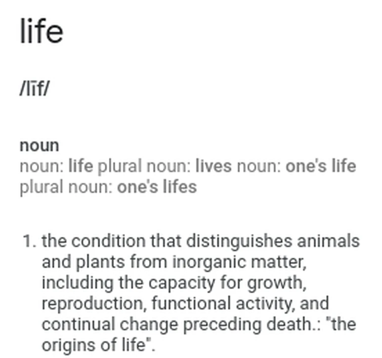 the meaning of life | Fandom