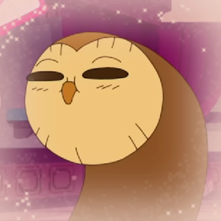 I Have Become Kit's Profile Picture, Hoot Hoot. | Fandom