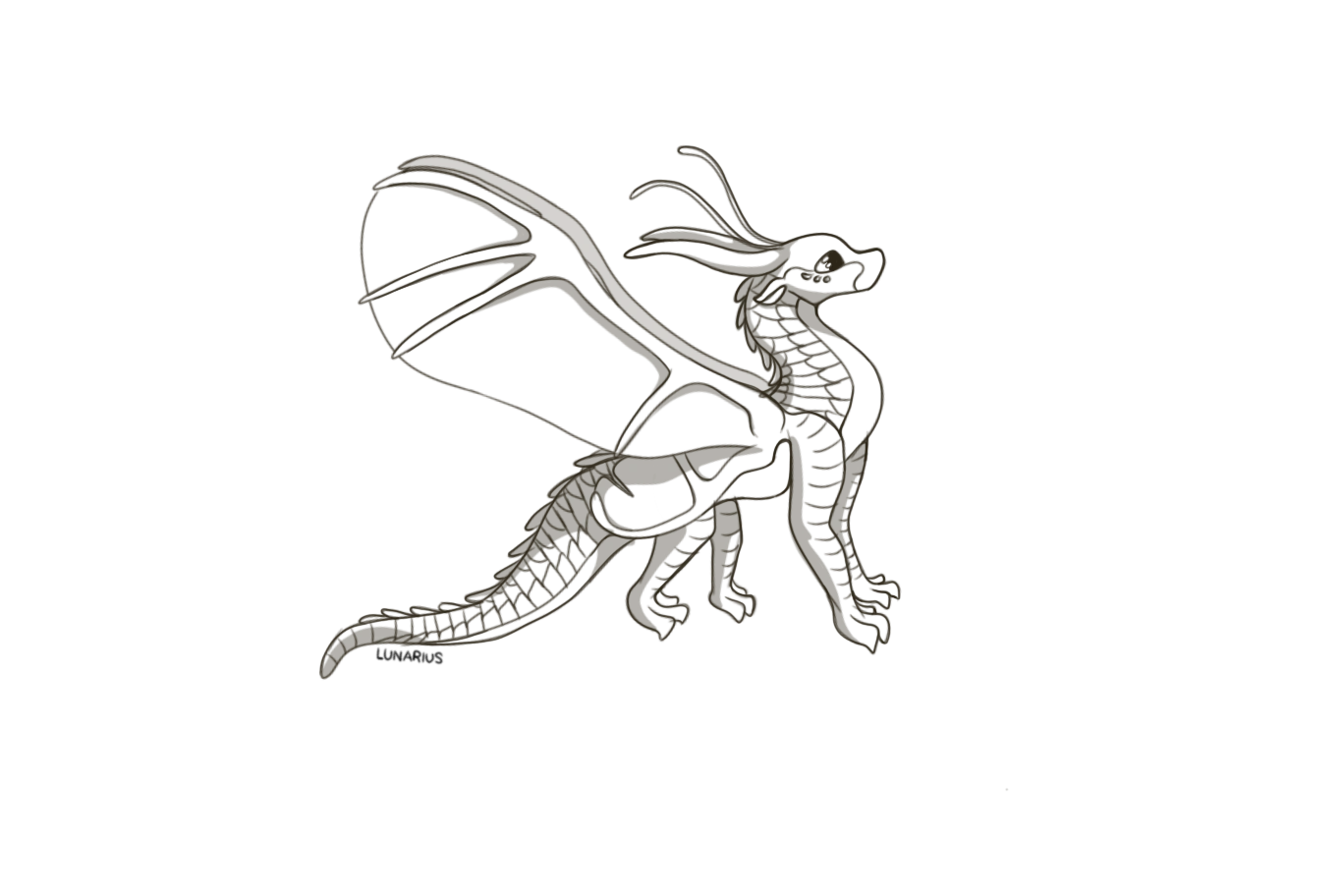 Silkwing base - in progress | Fandom