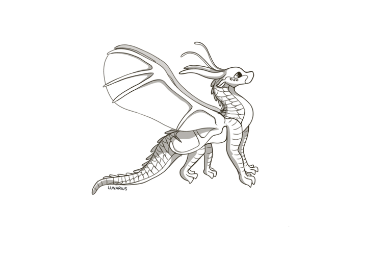 Silkwing base - in progress | Fandom