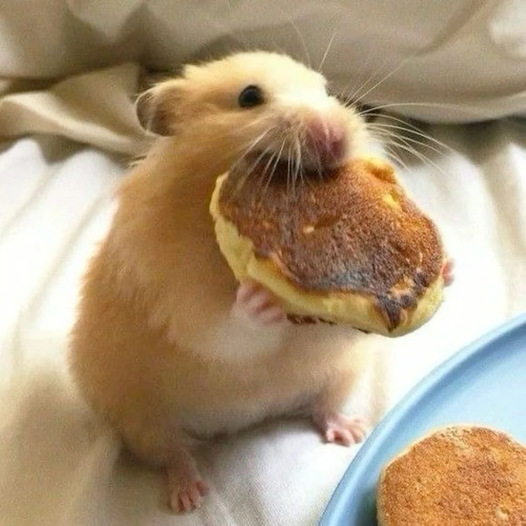 nibbling on crackers | Fandom